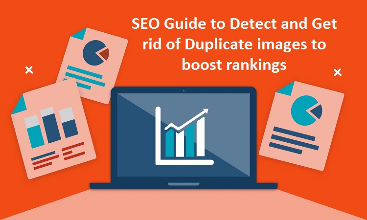 SEO Guide to Detect and Get rid of Duplicate Images to Boost Rankings ...